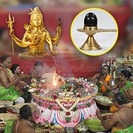 Soma Pradosham June 2015: Grand Group 11 Priest Rudra Ekadasa Fire ...