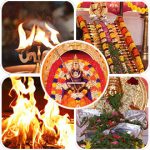 Gau Daan Procedure, Benefits & Cost | Gau Daan Online & Vidhi | AstroVed