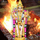 AstroVed-Bala-muruga-Homa.jpg