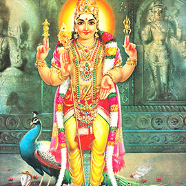 Thai Poosam 2020 | Thaipusam Festival 2020 | Murugan Festival 2020 ...