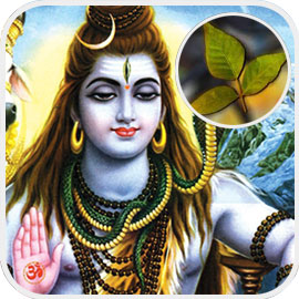 Bilvashtakam Chanting and Sri Rudram Chanting and Abishekam to Rudra F