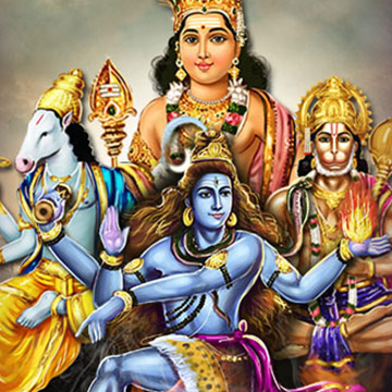 4-in-1 Combo Homam | AstroVed.com