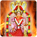 Individual Shreem Brzee Homa