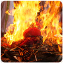 Individual Kukuta Fire Lab Online Price