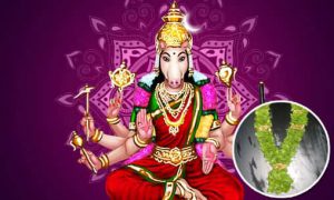 Goddess Varahi Devi | Varahi (Ashada) Navaratri | AstroVed.com