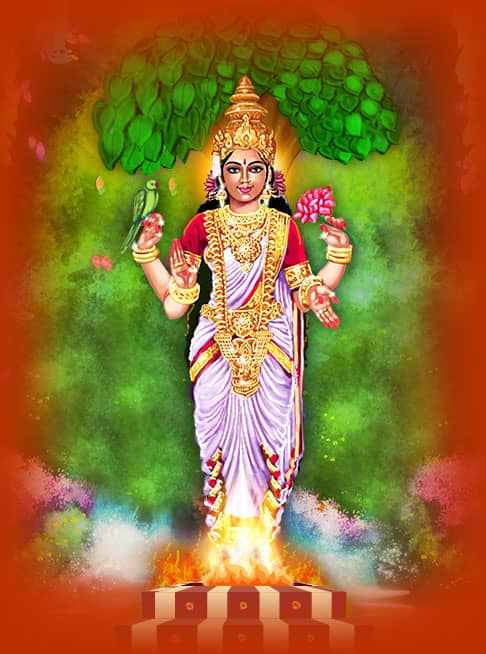 Vasavi Matha