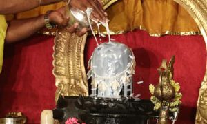 Ghana Parayanam Chanting & Tryambaka Rudra Homa