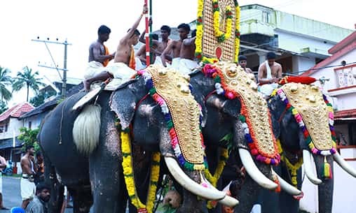 AstroVed’s Triple Wealth & Wisdom Program