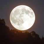 Steps to be Followed during Pournami Viratham (Full Moon Day Fasting)