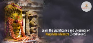 Lakshmi narasimha moola mantra - gsaever