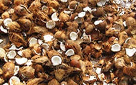 गणेश चतुर्थी, गणेश चतुर्थी 2018, विघ्नेश्वर, गणपति