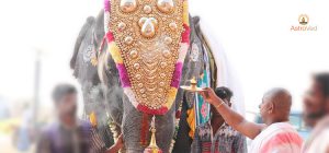 Gaja Pooja, Benefits of Gaja Pooja - AstroVed.com