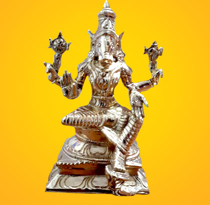 Goddess Varahi Devi | Varahi Programs By Dr.Pillai | AstroVed.com