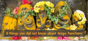6 Things You Did Not Know about Naga Panchami