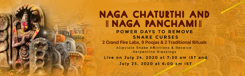 Nagula Chavithi and Naga Chaturthi, Festivals for Snake Gods - AstroVed
